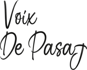 Réalisations - Voix de Pasaj
